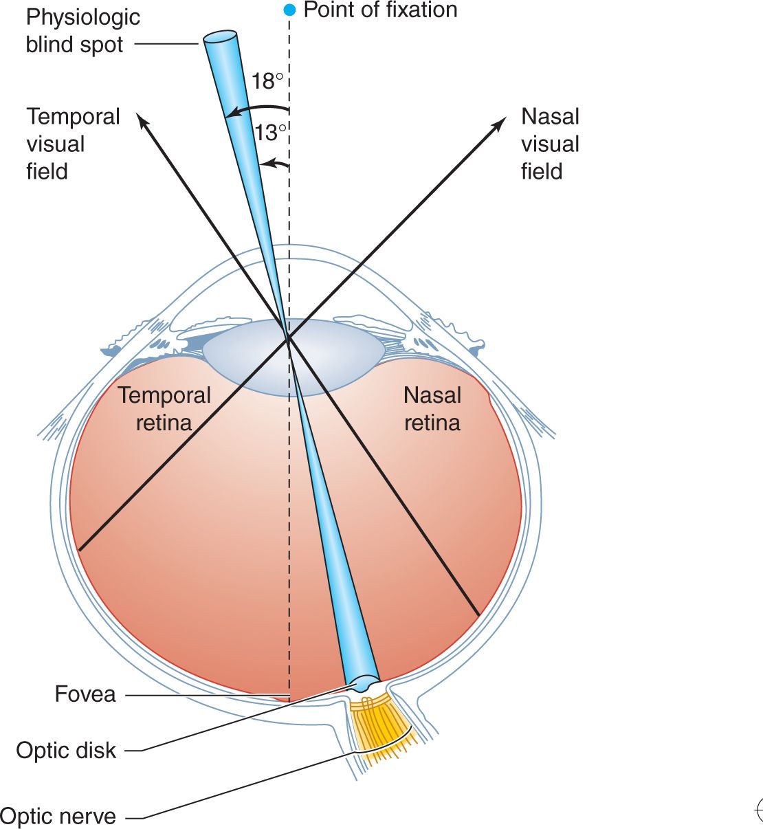 Neuro Ophthalmic Disorders Neupsy Key