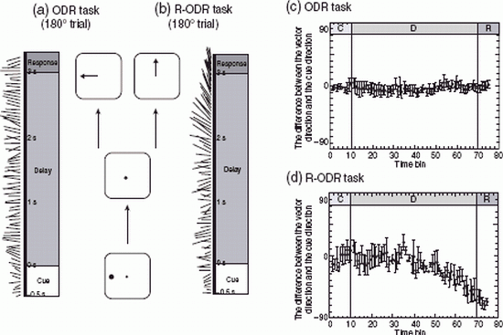 The General Purpose Working Memory System And Functions Of The