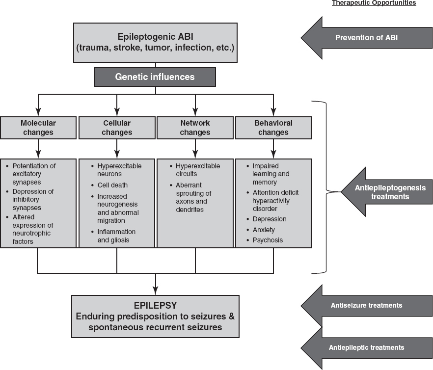 Post–Acquired Brain Injury Epilepsy | Neupsy Key