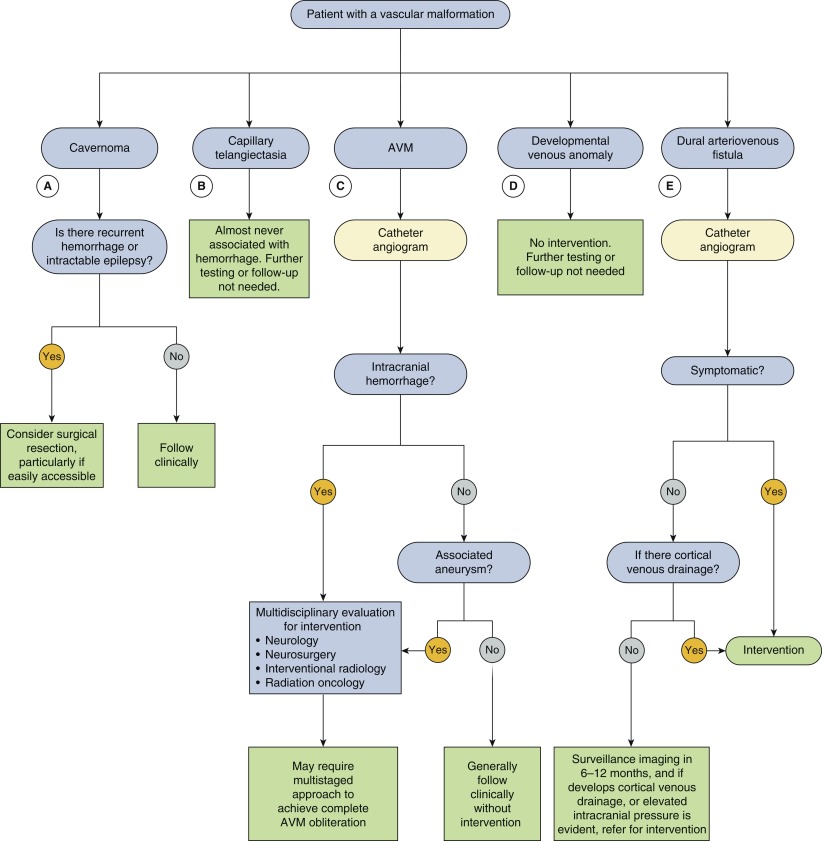 Vascular Malformations Neupsy Key